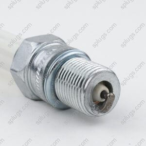 Champion 634 RB77WPCC - Splugs